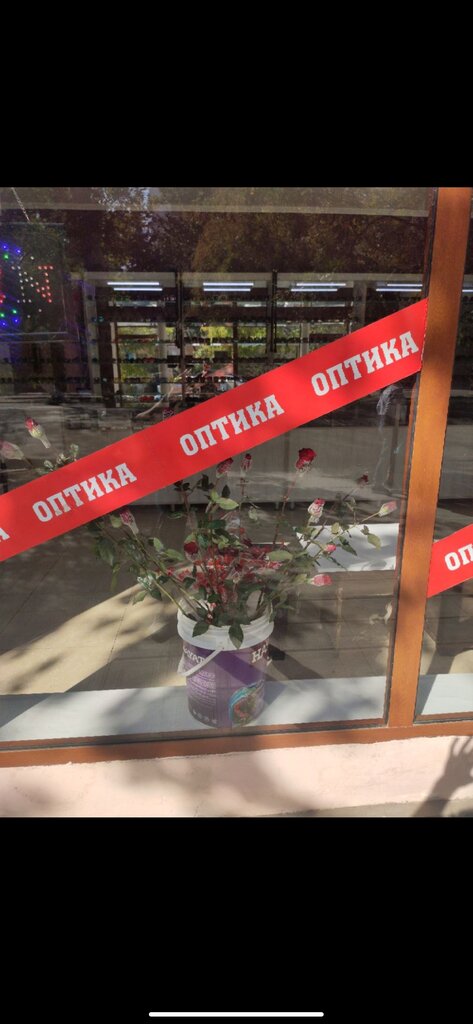 Optik Corrado, Semerkant, foto