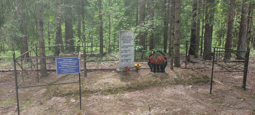 Anıt, heykel Мемориал Великой Отечественной войны, Brianskaya oblastı, foto