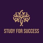 Study for Success (Charents Street No:44), eğitim merkezleri  Erivan'dan