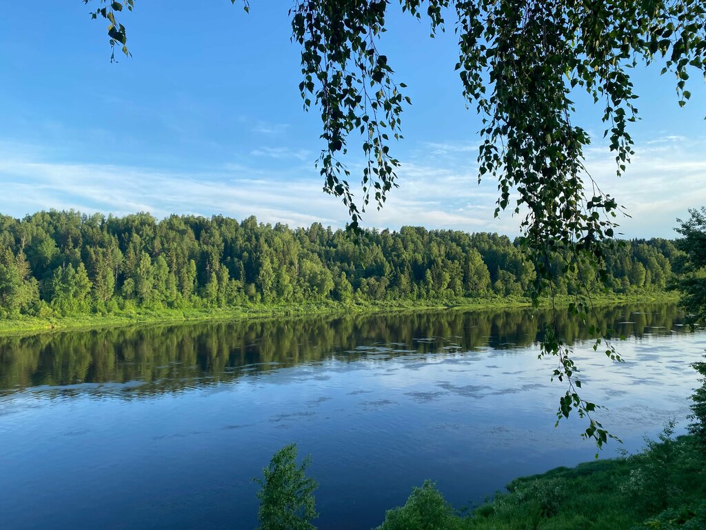 Kültür ve eğlence parkları Берёзовая роща, Vologodskaya oblastı, foto