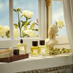 Trvdon Perfume and Cosmetics Store (9A, Al Sukook Street, Dubai International Financial Centre), kozmetik ve parfümeri mağazaları  Birleşik Arap Emirlikleri'nden