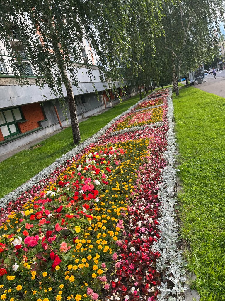 Toplu taşıma durağı Marshal Tukhachevsky Street, 55, Moskova, foto