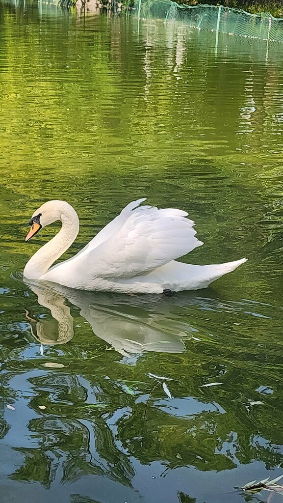Bank Bench, Saratov, foto