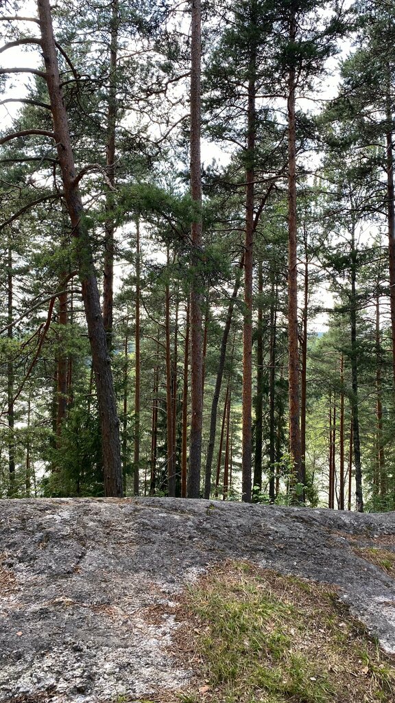 Kamp alanları Площадка для стоянки и отдыха альпинистского клуба Политех, Saint‑Petersburg ve Leningradskaya oblastı, foto