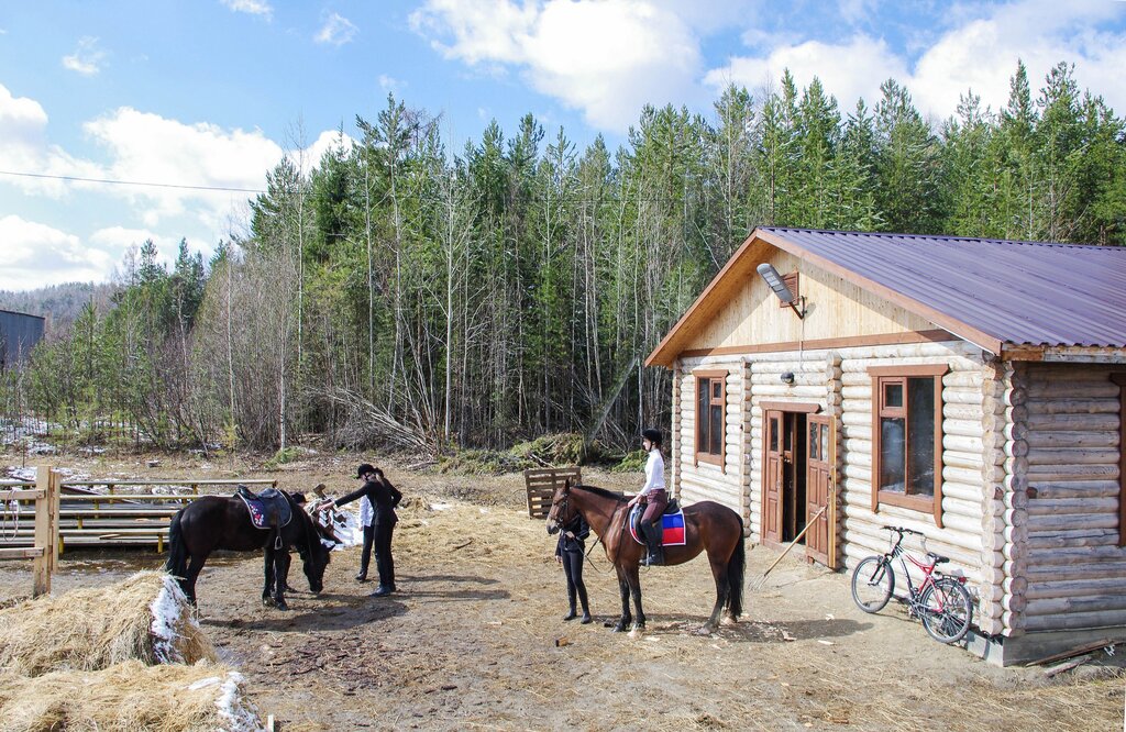 At ve binicilik kulüpleri Алькор, Niagan, foto