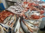 Pescheria De Santis Angela (Via Metauro No:3, Rome), balık çiftçiliği ve toptancıları  Roma'dan