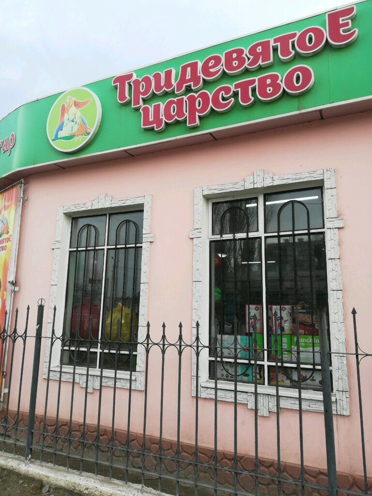 Çocuk oyunları ve oyuncakları Тридевятое царство, Taraz, foto