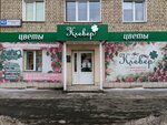 Klever (Vorovskogo Street No:62), çiçekçiler  Kirov'dan