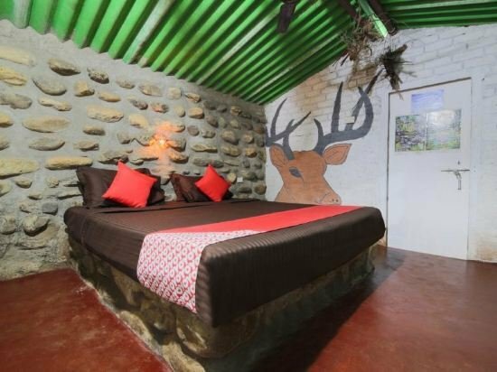 Otel Jungle book, Goa, foto