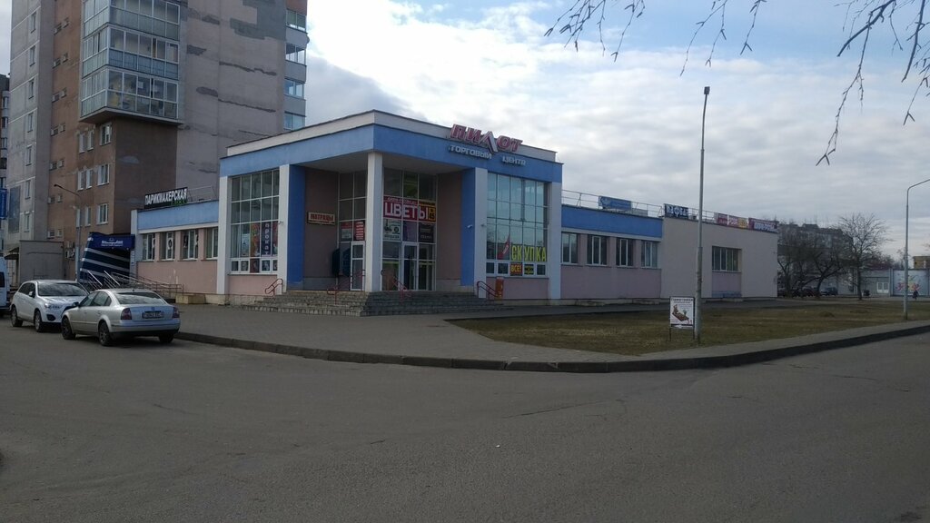 Otomobil yedek parçaları MG.by, Moguilev, foto