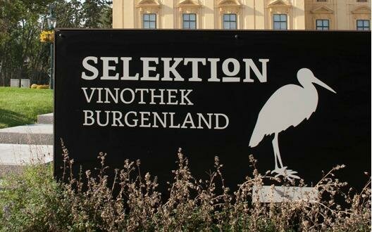 Şarap ve içki toptan satışları Selektion Vinothek Burgenland GmbH, Eisenstadt, foto