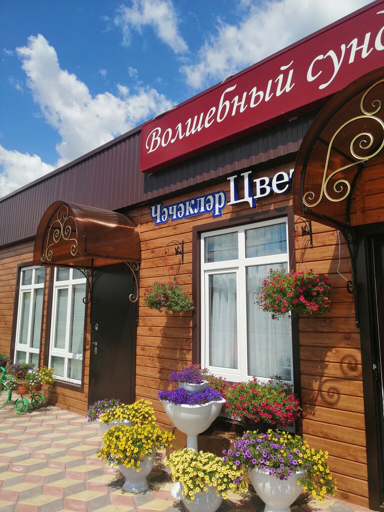 Çiçekçiler Волшебный сундучок, Tataristan, foto