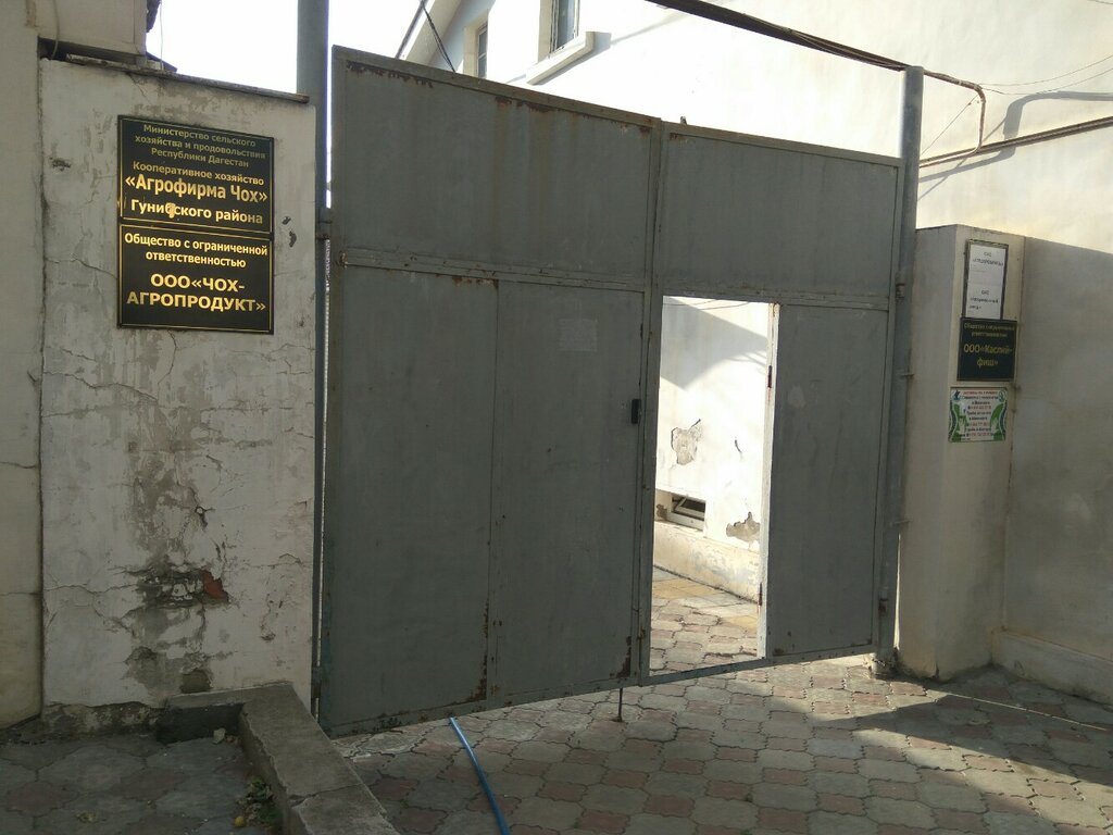 Bahçecilik dernekleri ve kuruluşları Chokh, KFKh, Makhachkala, foto