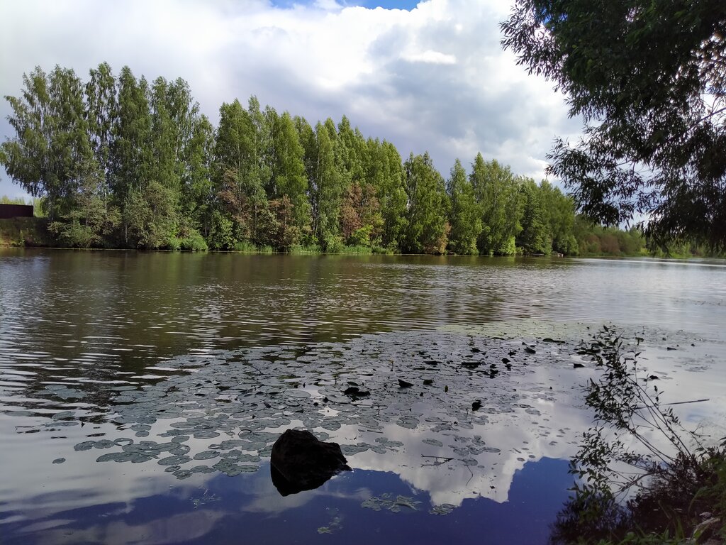 Pınar, çay Spring, stream, Dubna, foto