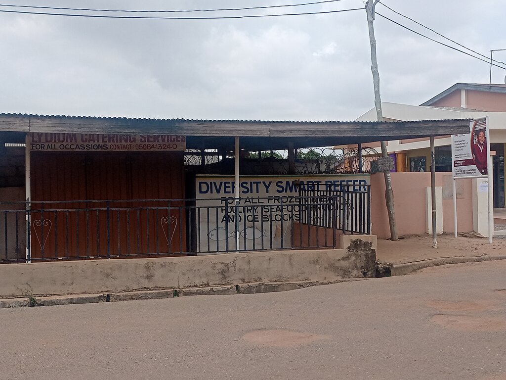 Dondurulmuş gıda firmaları Diversity smart reefer, Akra, foto