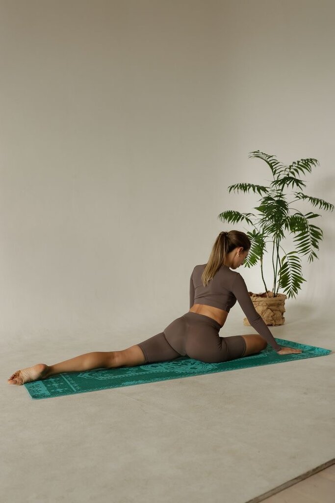 Fitness kulüpleri Flamingo Stretching, Moskova, foto