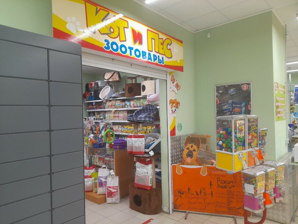 Petshop Кот и пёс, Arhangelsk, foto