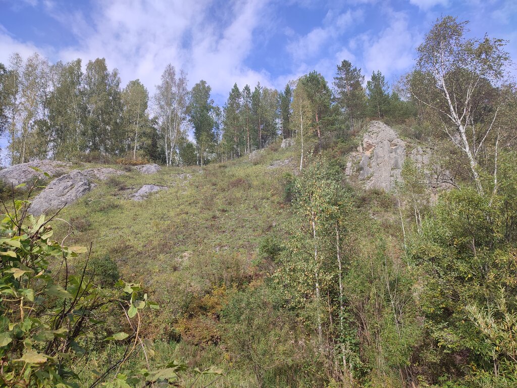 Dağ zirvesi Гора Пещерка, Novosibirskaya oblastı, foto