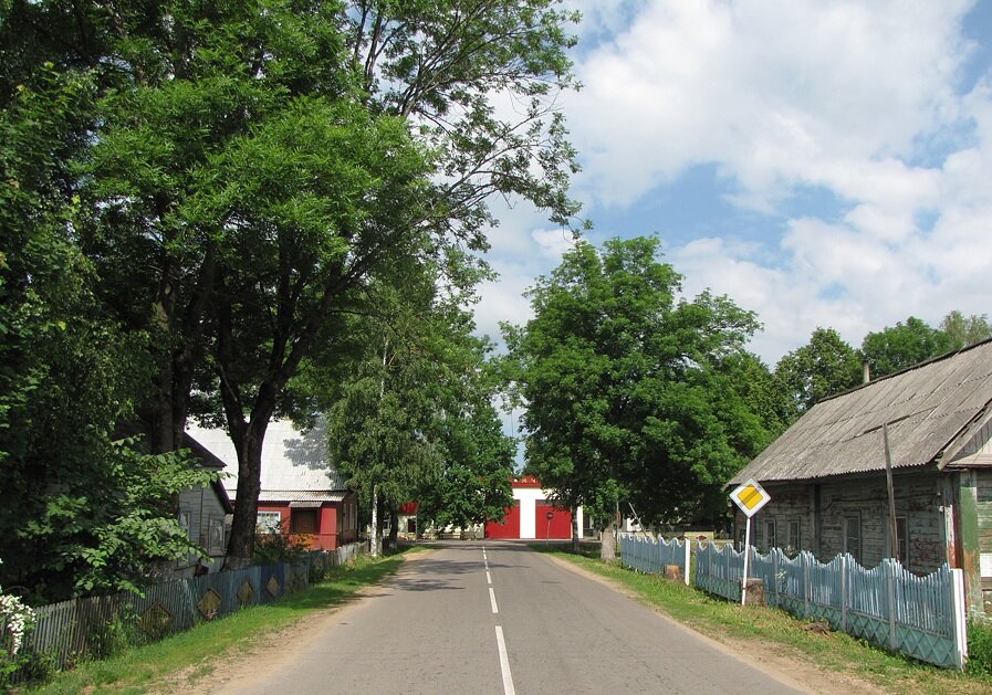 Arama kurtarma PASCh 1 Vitebskogo ROChS, Vitebskaya oblastı, foto