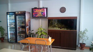Алтай (Altai Territory, Kamenskiy rayon, selo Lugovoye), kafe  Altayski krayından
