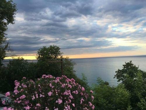 Otel Hotel Olympos, Dünya, foto