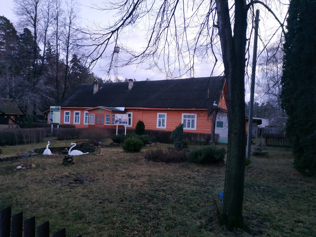 Orman işleri Berezovskoye Lesnichestvo GLKhU Novogrudsky leskhoz, Beriozovka, foto