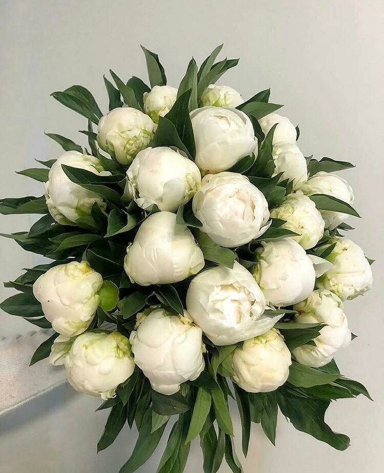 Çiçekçiler Цветы Вам, Moskova, foto