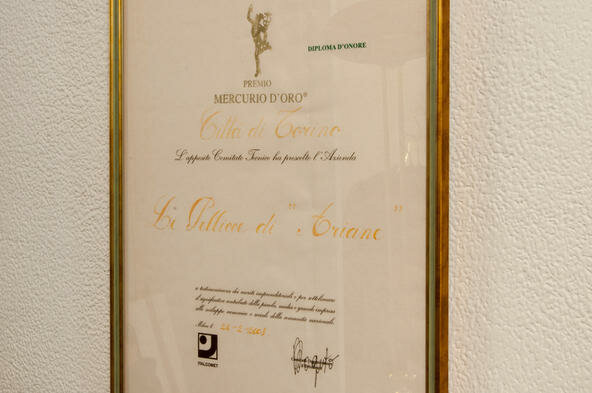 Kürkler Ariane Maison Pellicceria, Torino, foto
