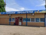 У тополя (Tekhnicheskaya ulitsa No:19), market  Orenburg'dan