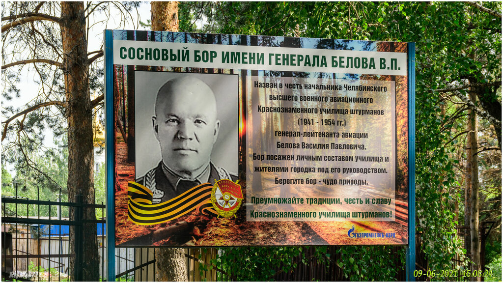 Orman бор имени В.П. Белова, Çeliabinsk, foto