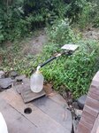 Well (Primorye Territory, Vladivostok Urban District, Russkiy Village, Sapyorniy Peninsula), kuyu  Primoriye'den