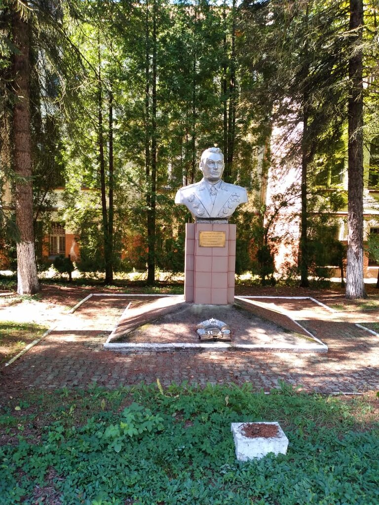 Anıt, heykel К.К. Рокоссовский, Kaliningrad, foto