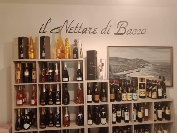 Şarap ve içki toptan satışları Enoteca Un Castello di Vino, Sardunya, foto