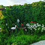 Я, ты и море Яровое (Novaya ulitsa No:8/1), resort oteller, tesisler  Yarovoye'den