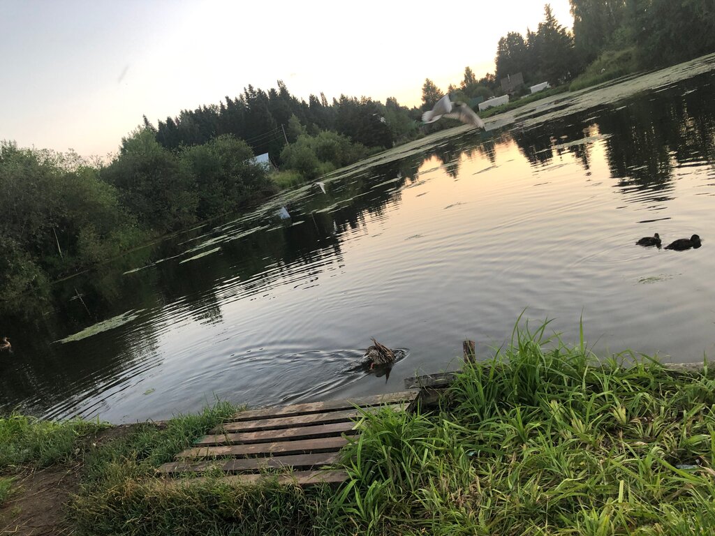 Tulumba Standpipe, Kirovskaya oblastı, foto