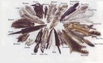 Natural fur (Gusinobrodskoye shosse No:68/1), kürk ve deri giyim mağazaları  Novosibirsk'ten
