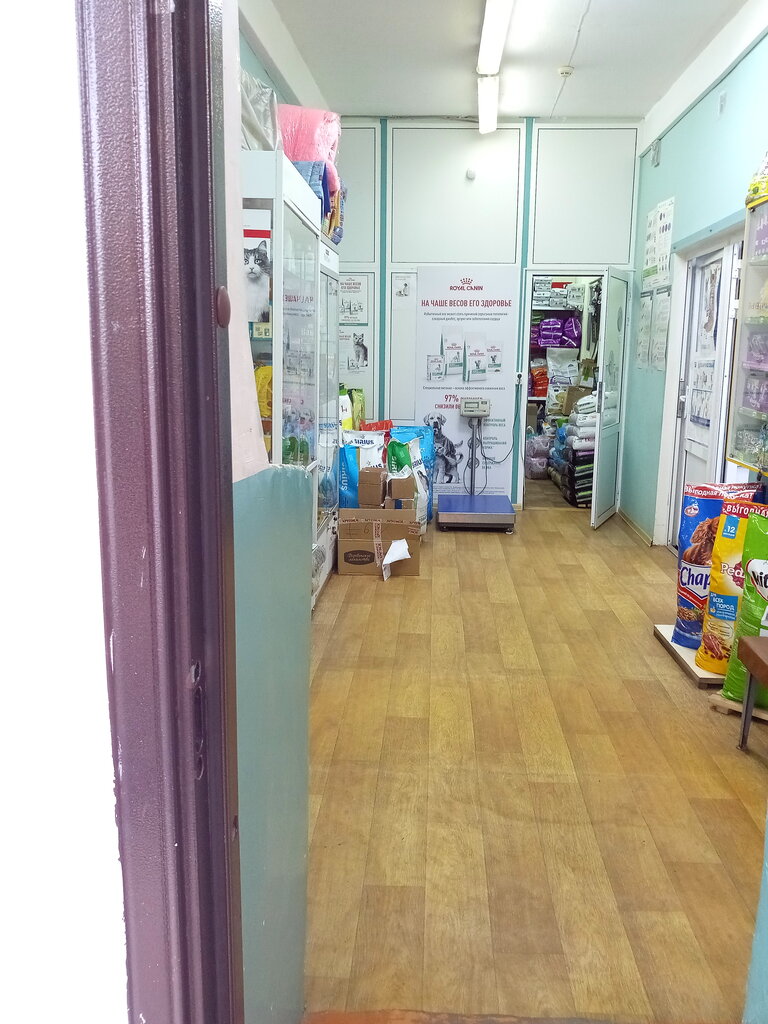 Veteriner klinikleri DoktorZOO, Ugliç, foto