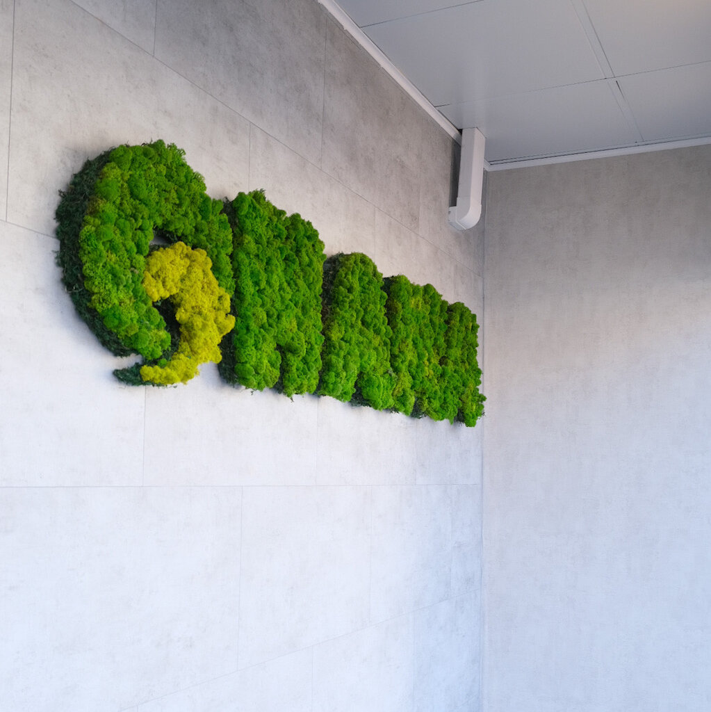 Kafe Ohana, Moskova, foto