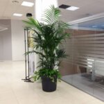 Green Life SAS (Via Cavour No:12, Torino), peyzaj tasarımı