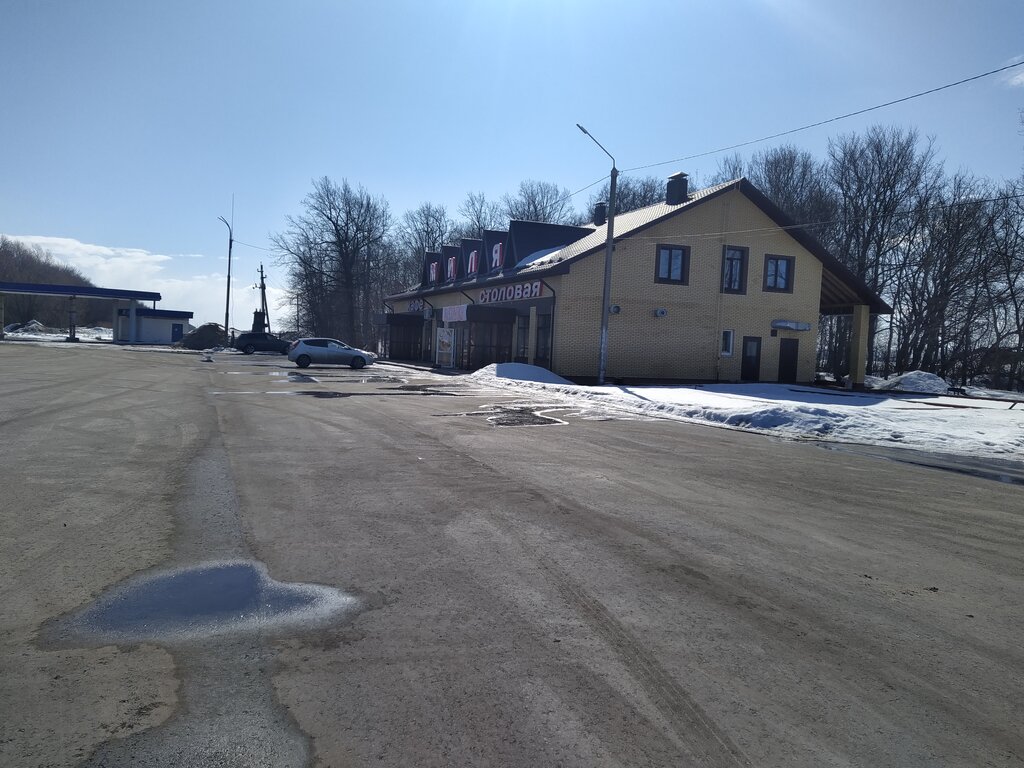 Oto lastik tamiri Tire Service, Riazanskaya oblastı, foto