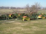 Happy Dog Village (Umbria, Perugia, Spoleto, Santa Maria in Campis), evcil hayvan yetiştiricileri  Umbria'dan