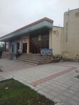 Aviakassa (Gumbaz koʻchasi No:75, Yangiqorgon mahalla fuqarolar yigʻini), uçak ve demiryolu biletleri  Semerkant'tan