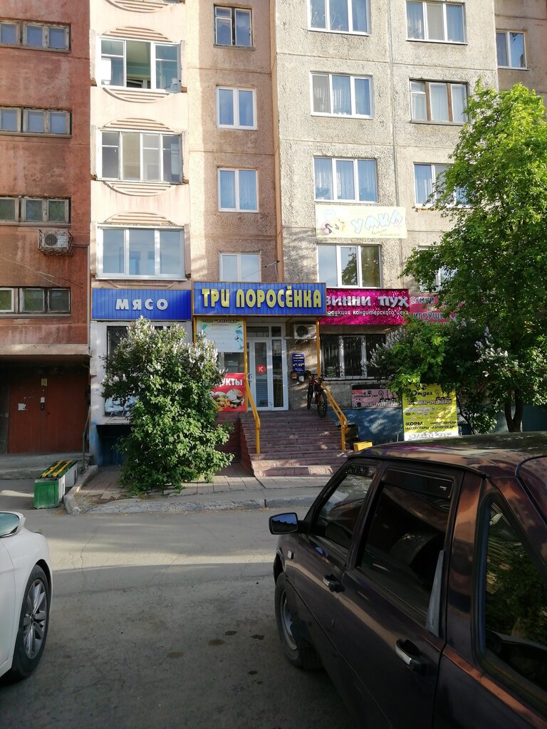 Market Tri porosenka, magazin, Novotroitsk, foto