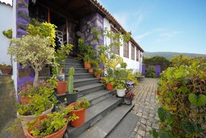 Casa Pedro (Calle los Reyes No:52, Icod de los Vinos), otel