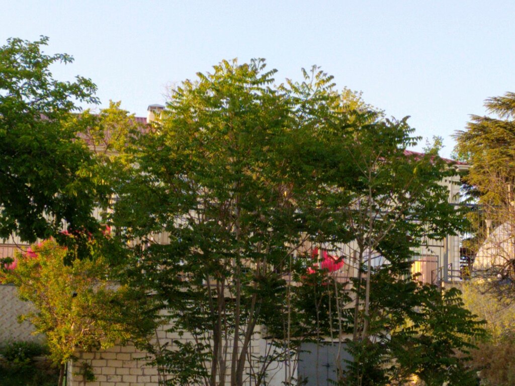 Yetimhane Социальный приют для детей и подростков, Sevastopol, foto