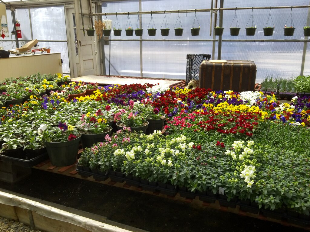 Yapay çam ağaçları ve süsleri Mary's Greenhouse, İllinois, foto