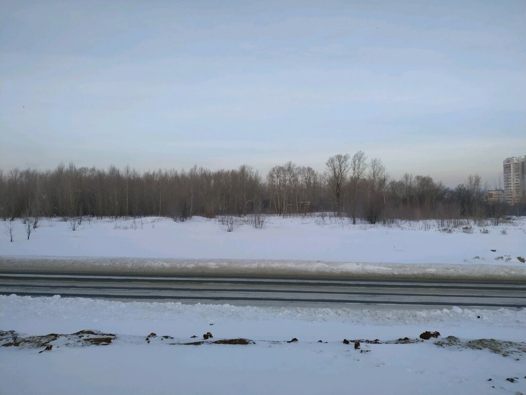 Orman Feyzi Ormanı, Kazan, foto