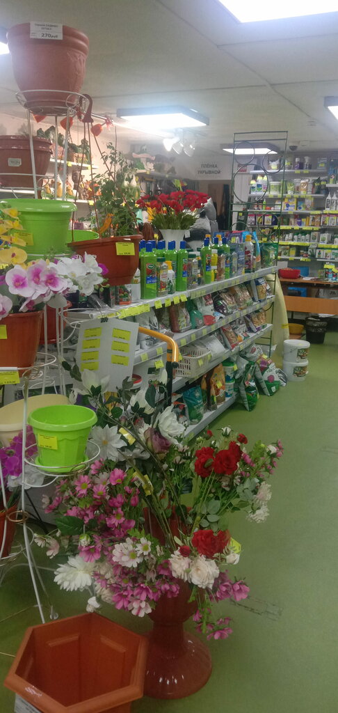 Tohum satan yerler Uspeh dachnika, Novosibirsk, foto