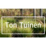Ton Vissers Tuinontwerp (Burgwal No:69), peyzaj tasarımı