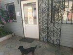 Продукты (Общественная улица No:44), market  Simferopol'dan (Akmescit'ten)